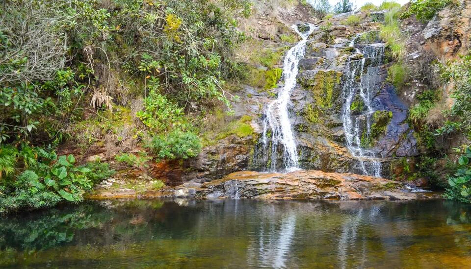 Scientists capture first-ever footage of rare fish climbing waterfalls ...