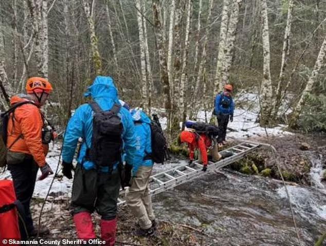 Two men found dead after searching for sasquatch in national forest ...