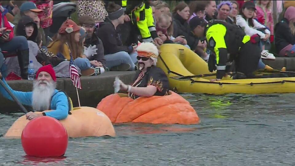 WATCH: Giant gourds set sail at West Coast Giant Pumpkin Regatta ...