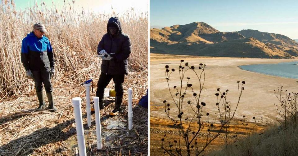 Strange Islands and Hidden Springs Showed Up In Great Salt Lake — Now ...