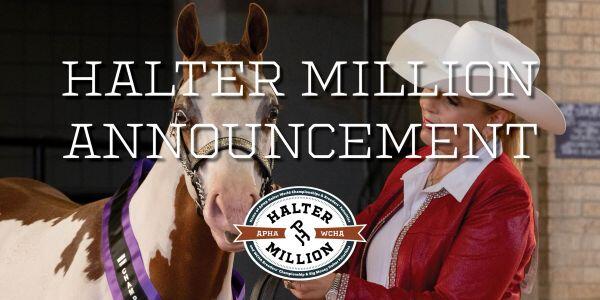 2025 APHA/WCHA Halter Million Features $1.4M in Cash and Prizes - NewsBreak