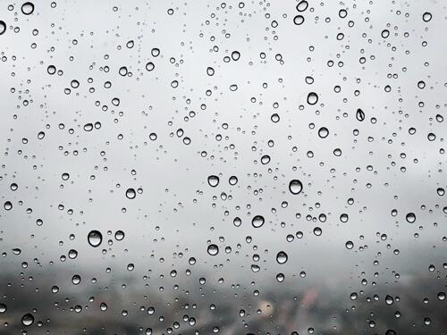 Alpine Daily Weather Forecast