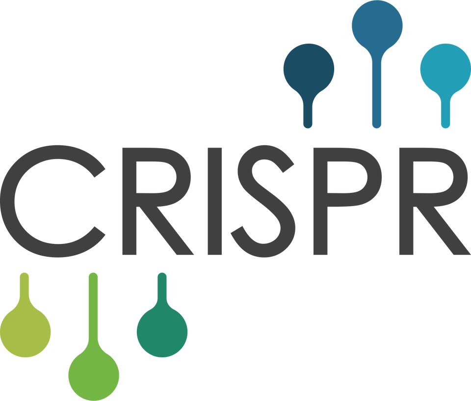 Gene Editing Gone Wrong: What Happens When CRISPR Makes a Mistake ...