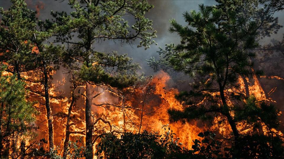 Fire crews make progress fighting wildfires in New Jersey forests ...