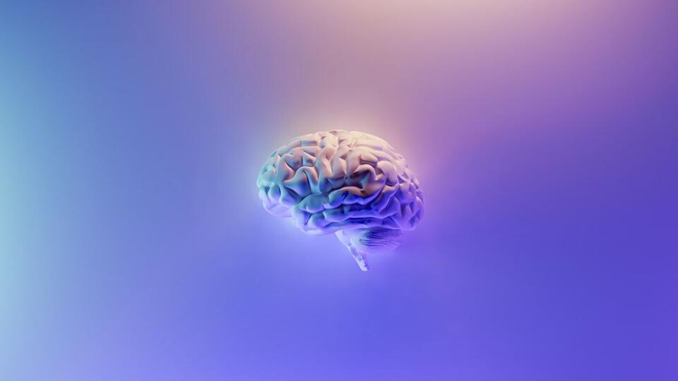 The Neural Pathway That Activates When Your Body Senses Physical Danger ...