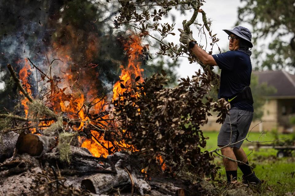 Why did so many trees fall after Hurricane Beryl? Here’s what we know ...