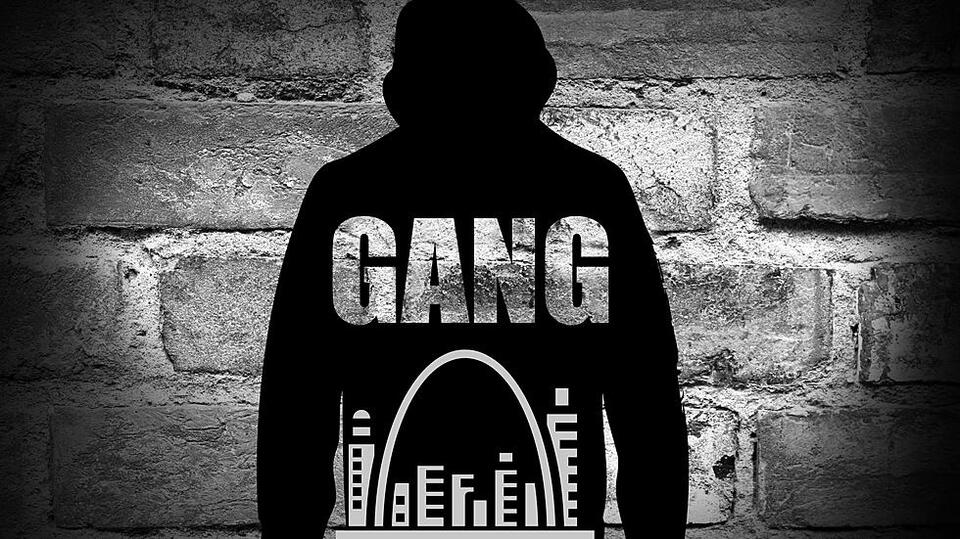See the Gangs in St. Louis, Missouri and Their Neighborhoods - NewsBreak