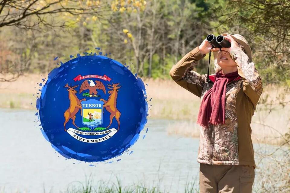 Michigan DNR Sends Birdwatching Updates Right to Your Phone - NewsBreak