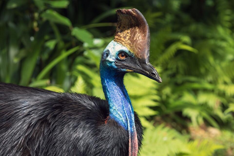 7 Dinosaur Species That Survived Multiple Extinction Events - NewsBreak