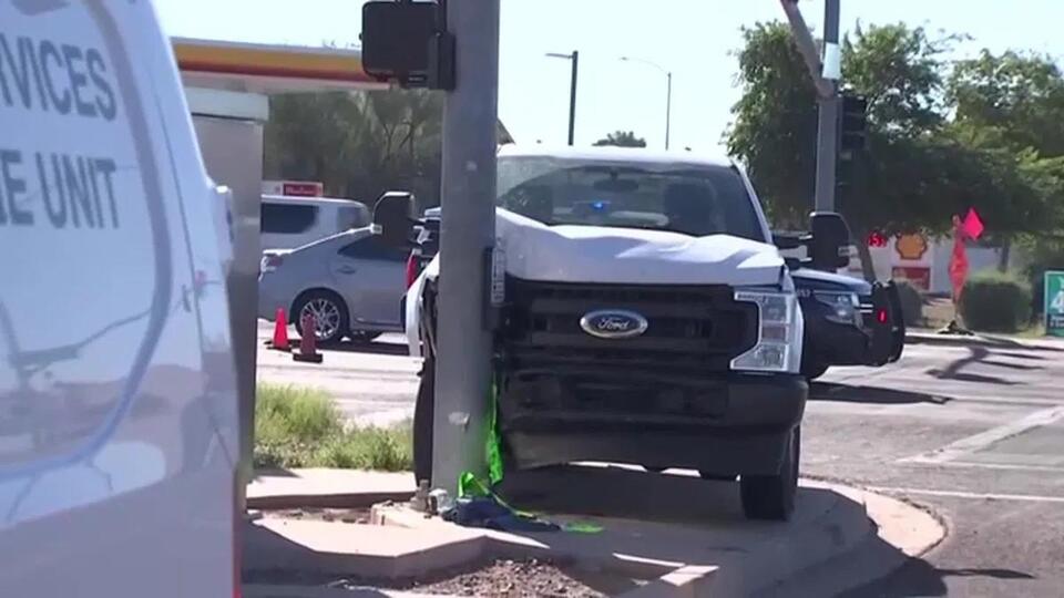 Swarm of bees causes deadly crash in Arizona - NewsBreak