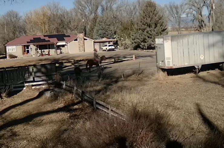 GONE!!! GONE!!! Well Almost! — Sunday, January 18, 2026 - NewsBreak