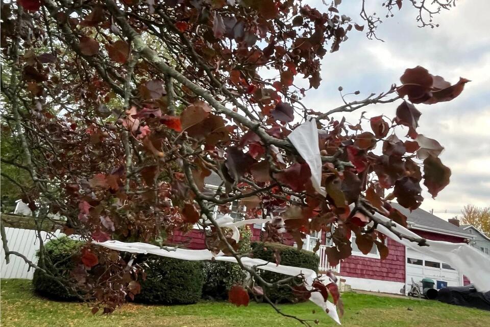 Mischief night was alive and well in NJ... well, sort of - NewsBreak