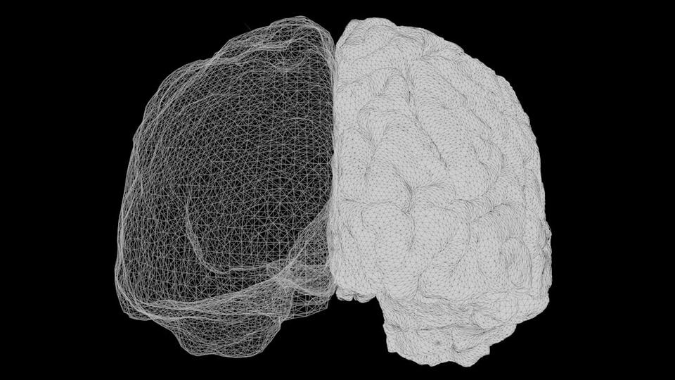 What Really Happens Inside Your Brain the Moment Before You Die ...