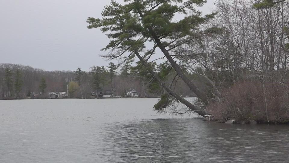 Togus Pond has been plagued by algae blooms. This treatment aims to ...