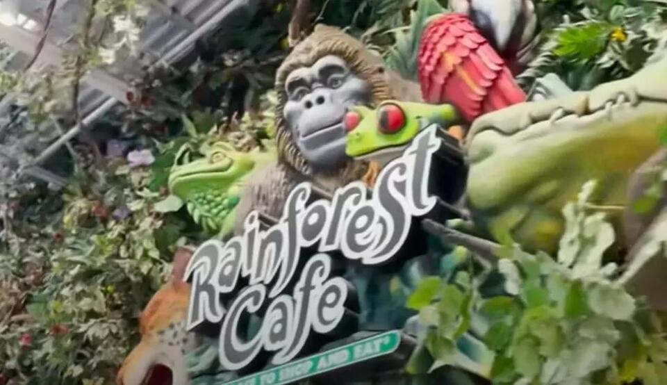 Rainforest Cafe Nostalgia Lives On: Texas Leads the World in Open ...