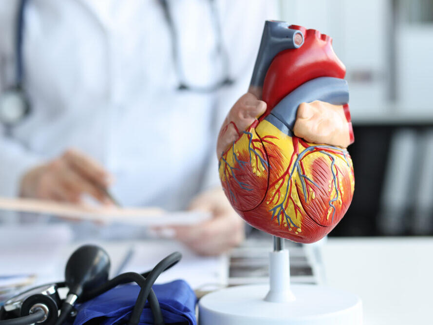 Study Finds Balloon-Expandable Valves Used After TAVR Procedures Linked ...