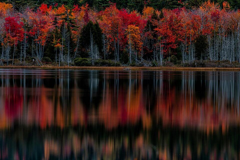 This Maine Park Boasts America’s Best Fall Foliage - NewsBreak