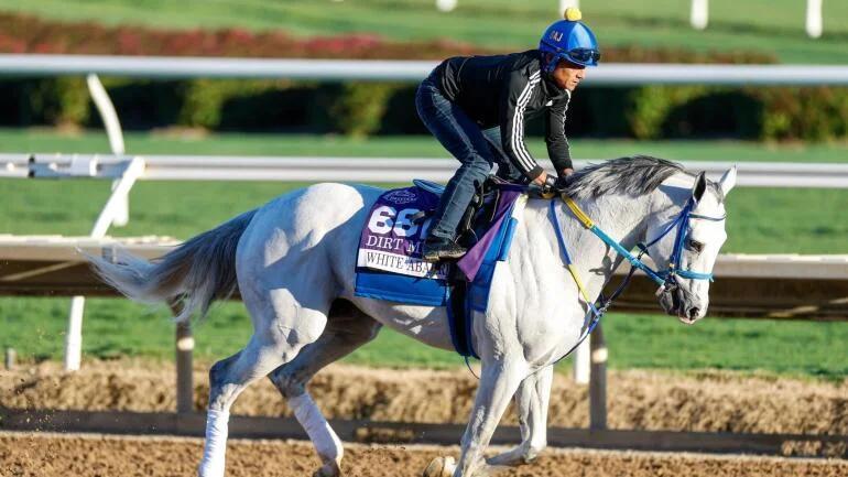 TwinSpires offer code CBSSPORTS: Get $400 bonus for 2026 Pegasus World ...