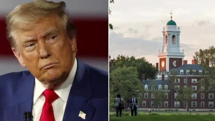 Federal judge blocks the Trump administration from revoking Harvard's ...