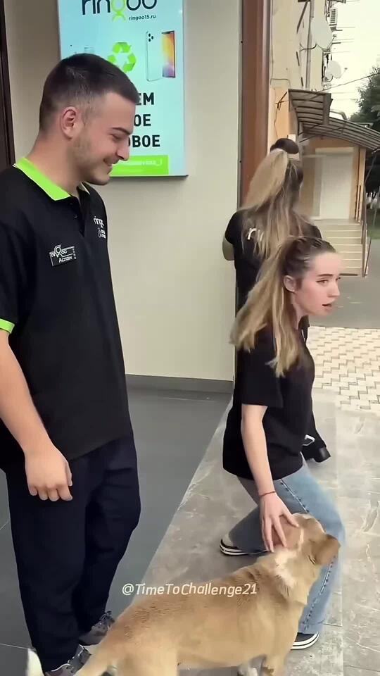 Epic fails viral funny fail shorts - NewsBreak