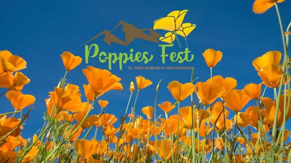 This Texas City’s Poppy Fest Is Pure Spring Magic—Here’s Why You Should ...
