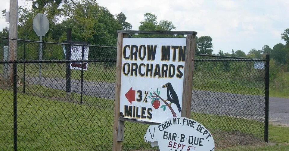 A once-popular Alabama orchard is now for sale, listed at $2.1M - NewsBreak