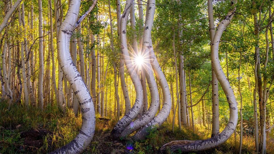 Fall Festivals in Western Colorado You Can’t Miss in 2025 - NewsBreak
