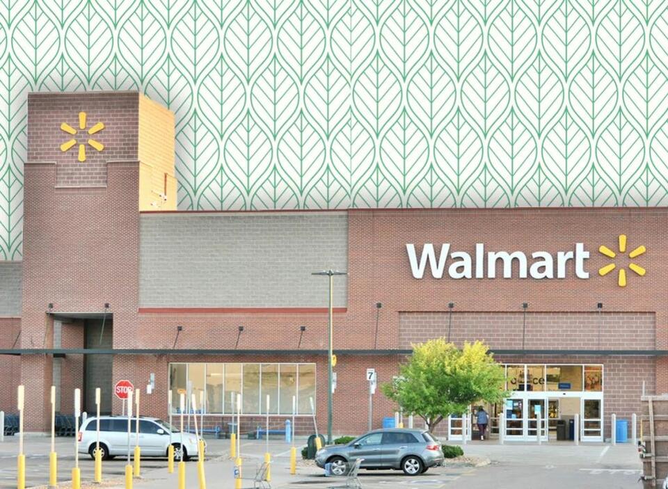 11 Best Walmart "New Arrivals" Hitting Shelves This Week - NewsBreak