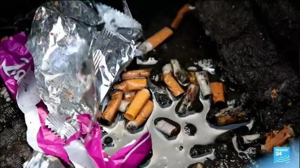 Birds in France trained to pick up cigarette butts in exchange for food ...