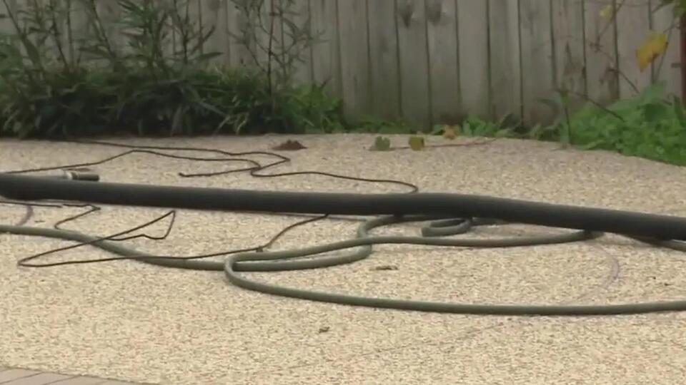 Homeowners dealing with electrical wire in backyard - NewsBreak