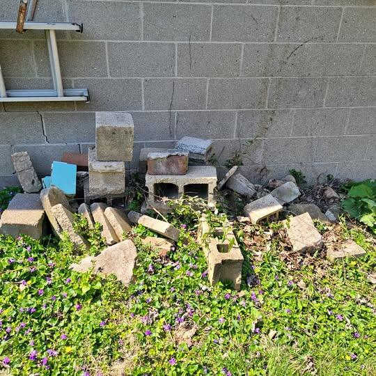 🎁 Freebies Up for Grabs in Bloomington Right Now - NewsBreak