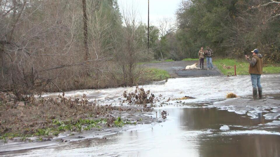 Flooding in Chico leaves animals stranded - NewsBreak