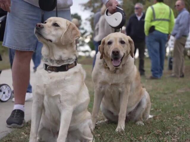 Blair's first dog park honors woman who dedicated life to caring for ...