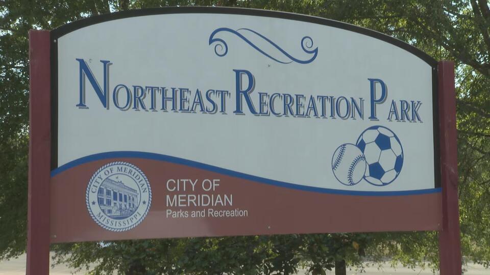 New pickleball courts coming to Northeast Park in Meridian - NewsBreak