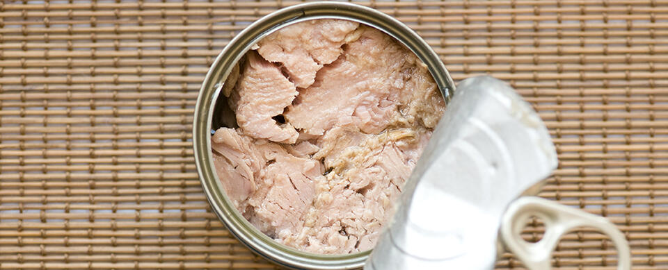 Scientists Discover a Simple Method to Reduce Mercury Levels in Tuna ...