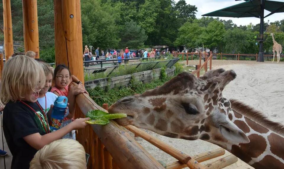 Como Park Zoo Summer Camp Registration Now Open - NewsBreak