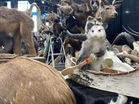 Oddities & Curiosities Expo brings fans of the spooky and weird to Expo ...