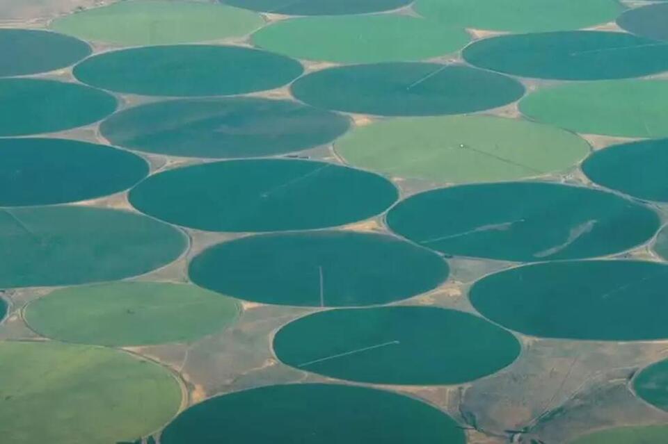 What Do the Giant Circles in Iowa Farm Fields Mean? - NewsBreak