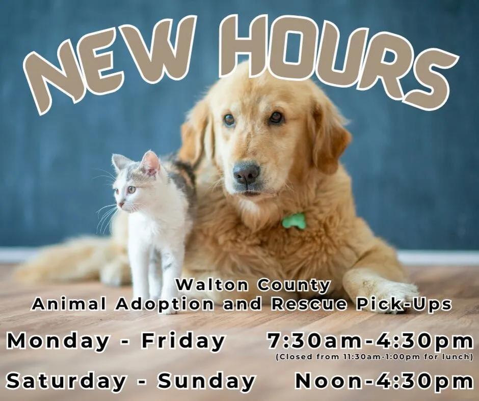 As we go into 2025 Walton County Animal Shelter has new hours to help ...
