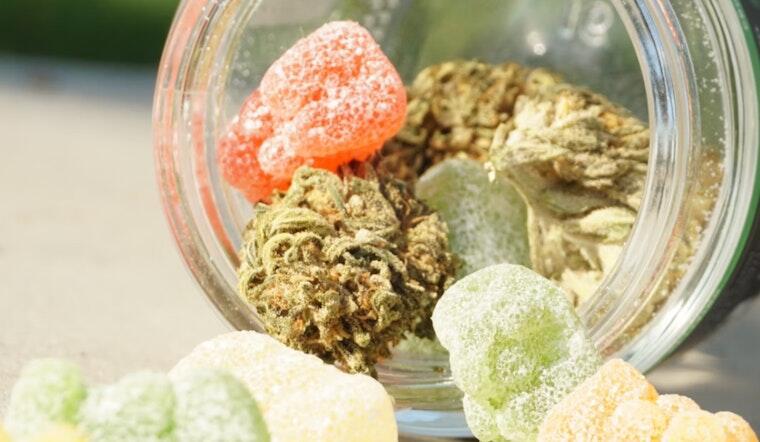 Long Island Teen Charged After Alleged Sale of Cannabis Gummies Leads ...