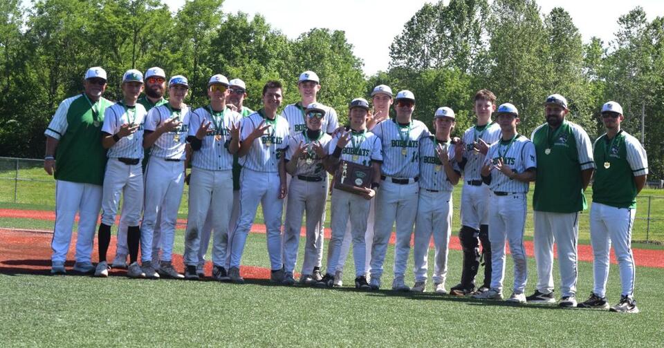 D-VII BB DF: Blevins' complete gamer, walkoff RBI single leads Green to ...