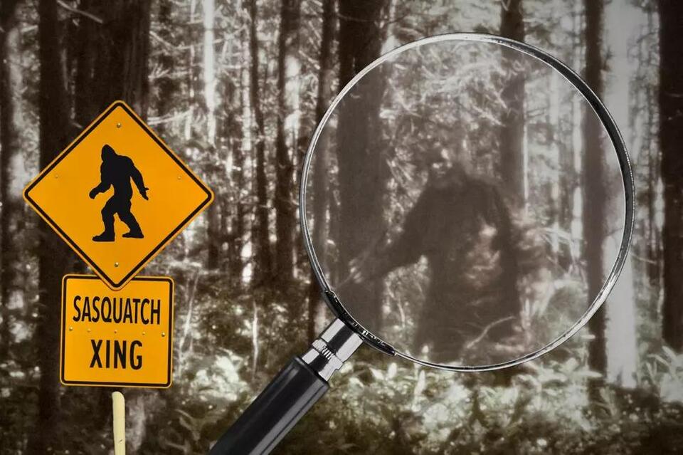 Is Bigfoot in Indiana? The Search for Sasquatch is on with the Annual ...