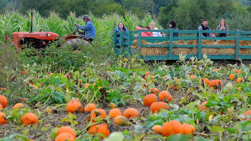 Here are 12 Bucks County pick-your-own farms to visit for fall crops ...