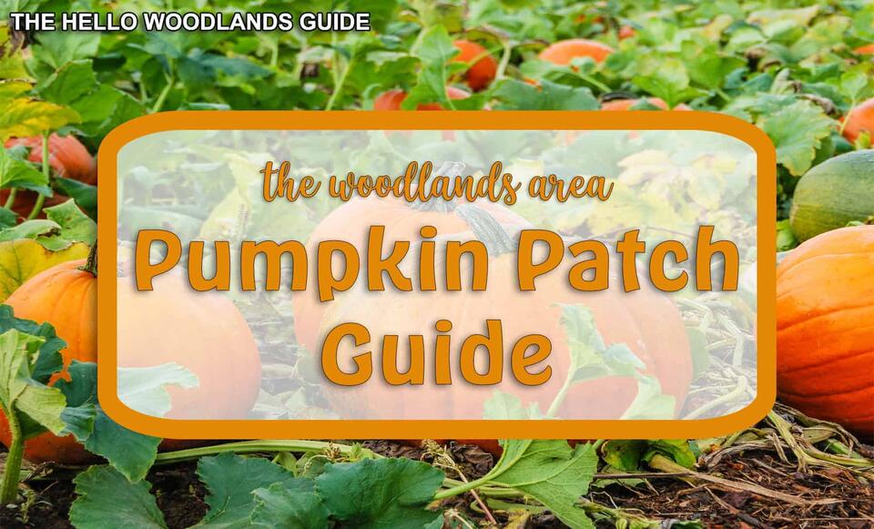 2025 Pumpkin Patches in The Woodlands Area - NewsBreak
