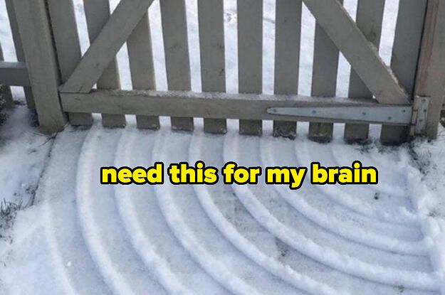 17 Comforting Images That Will Make You Exhale A Sigh Of Relief And ...