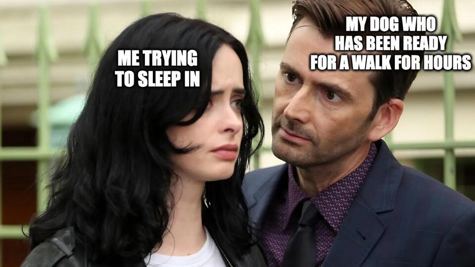 This Weekend’s 52 Funniest Memes On The Internet - NewsBreak