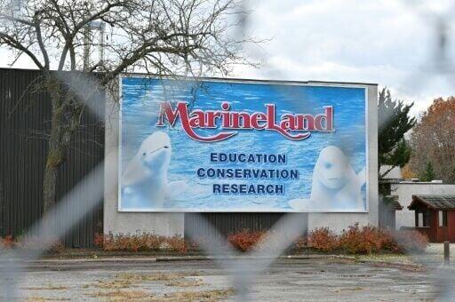 A view from outside the now-closed Marineland theme park - NewsBreak