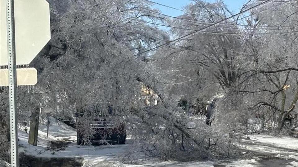 Tennessee reports 10 weather-related deaths in winter storm - NewsBreak