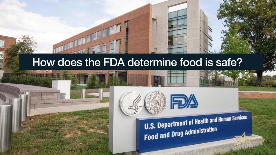 FDA elevates tomato recall in 3 states to highest level - NewsBreak