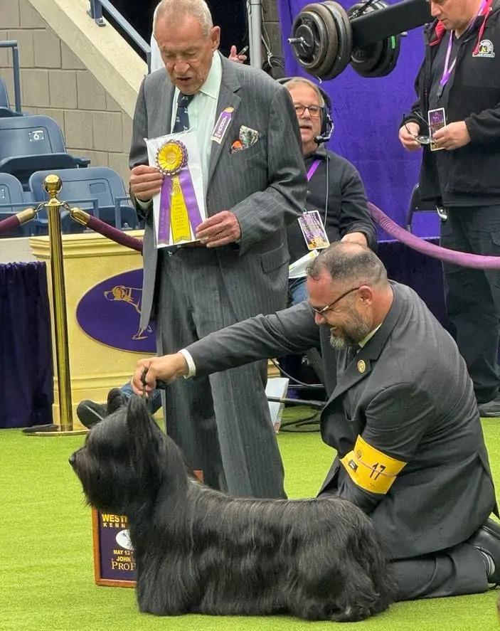 Local handler and Skye terrier win breed class at Westminster - NewsBreak